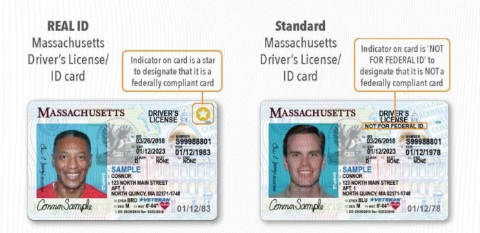 Massachusetts vai começar a emitir carteiras de motorista em ...