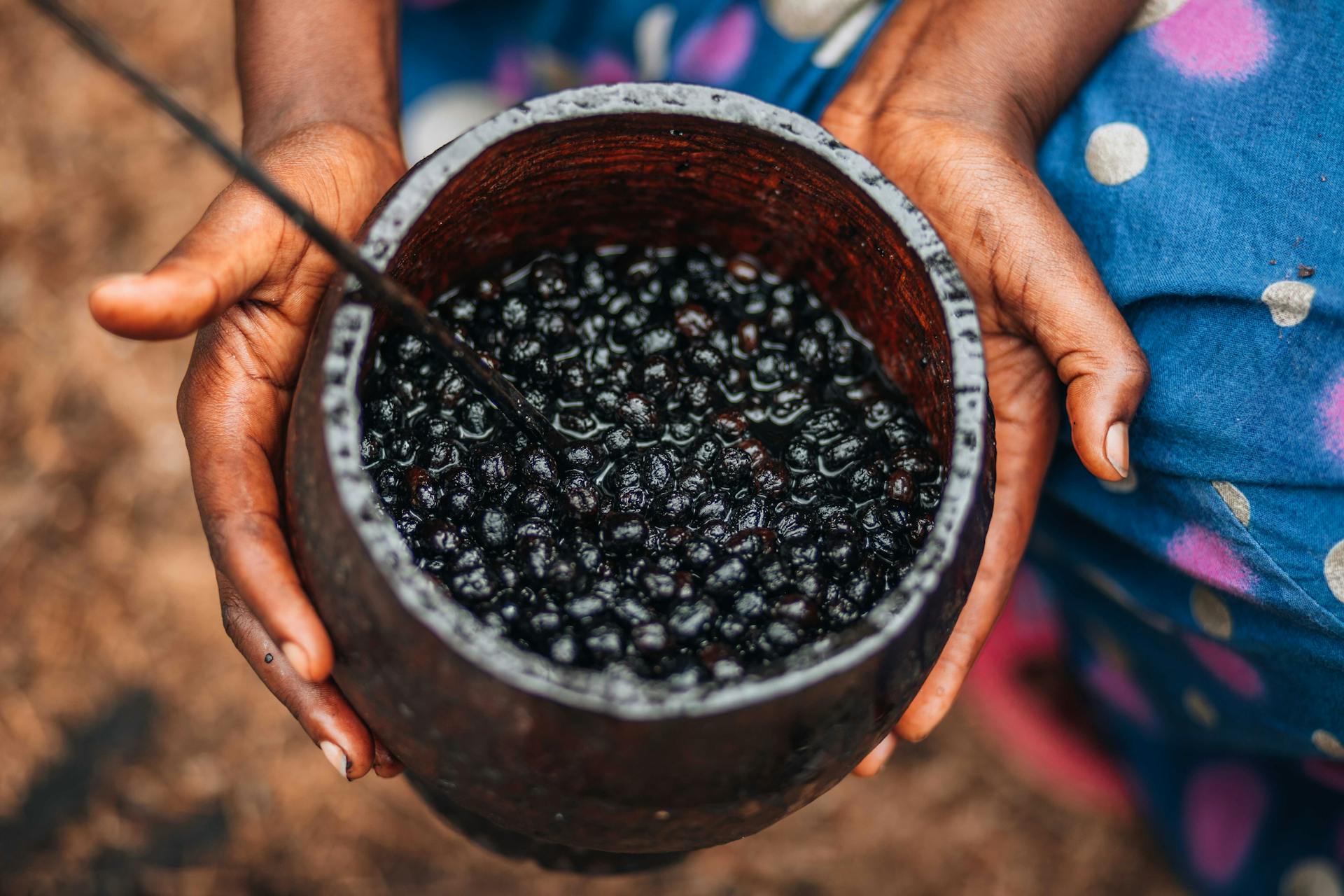 Açaí é reconhecido oficialmente como fruto brasileiro - AcheiUSA